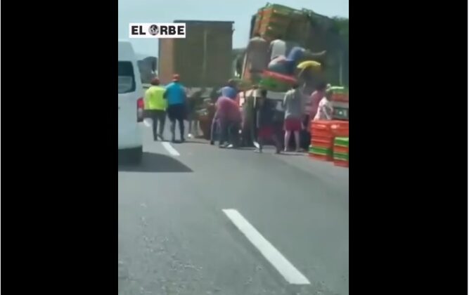 Camión cargado con rejas de pollo, sufre accidente en el kilometro 105 ...