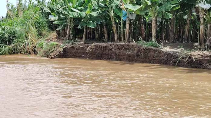 Creciente del Río Suchiate Siguen Erosionando Territorio Mexicano ...